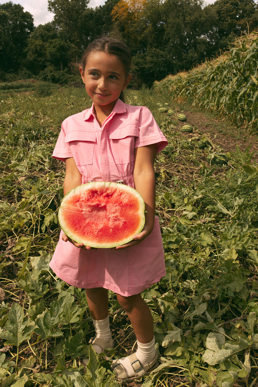 Crew Pink Riley Dress – Young Timers Boutique